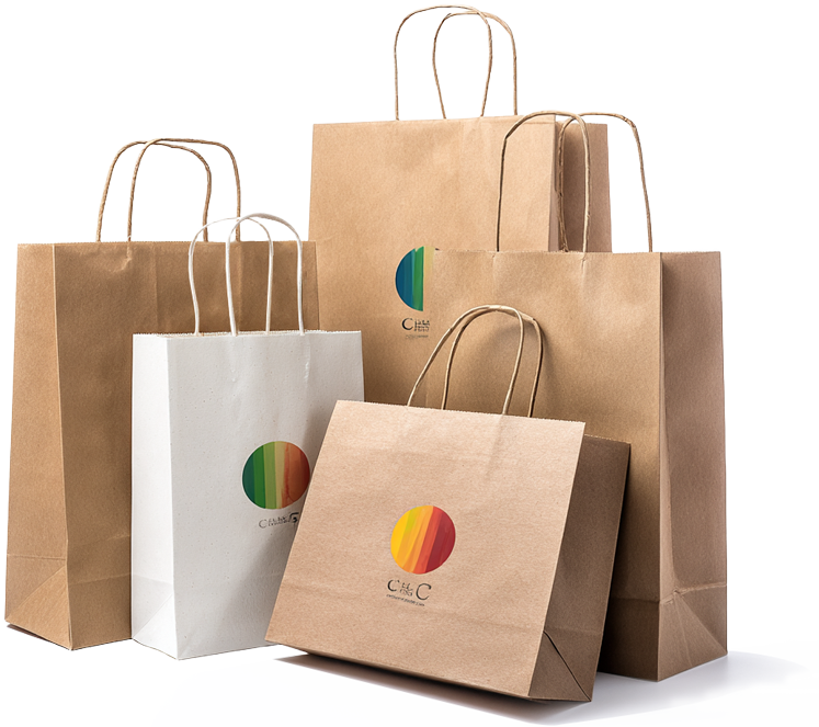 Recycled Custom Paper Bags Wholesale from $0.79